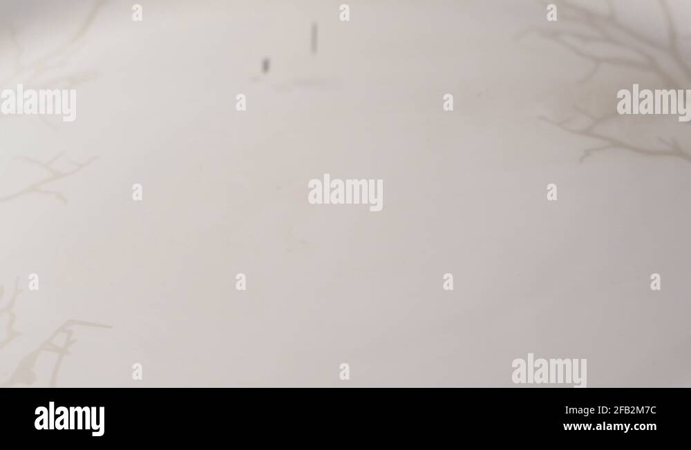 Mustard grains Stock Videos & Footage - HD and 4K Video Clips - Alamy