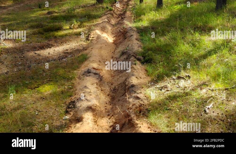 European trenches Stock Videos & Footage - HD and 4K Video Clips - Alamy