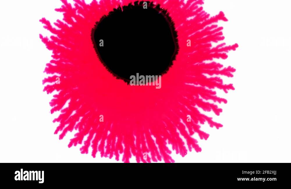 Ink blot pink black splatter Stock Videos & Footage - HD and 4K Video ...
