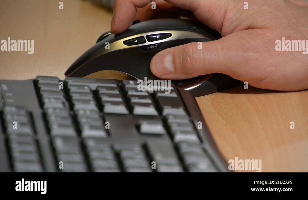 Computer science employment office Stock Videos & Footage - HD and 4K ...