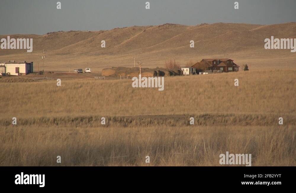 Bison house Stock Videos & Footage - HD and 4K Video Clips - Alamy