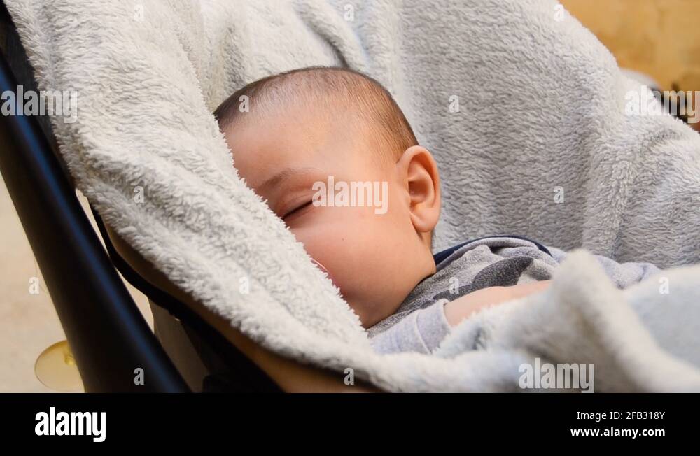 Gray habit Stock Videos & Footage - HD and 4K Video Clips - Alamy