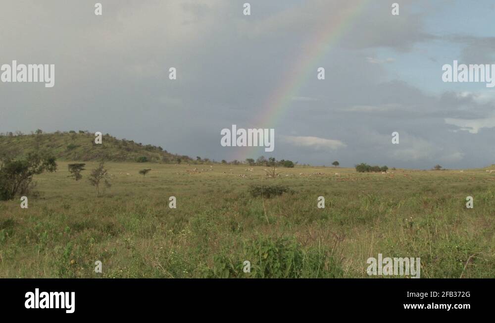 Rainbow ground Stock Videos & Footage - HD and 4K Video Clips - Alamy