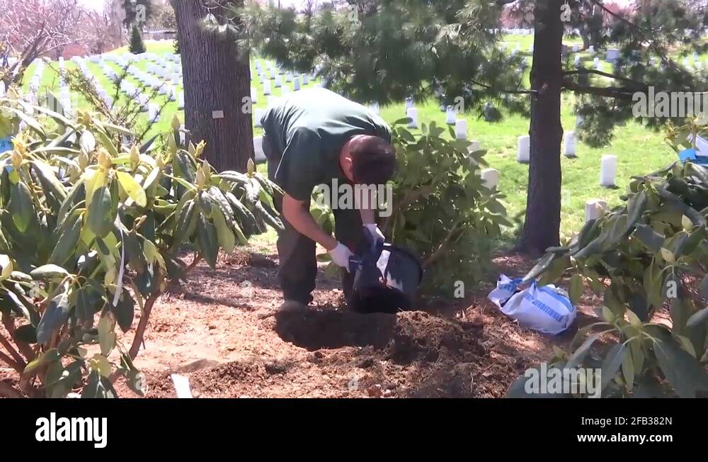 Working cemetery Stock Videos & Footage - HD and 4K Video Clips - Alamy