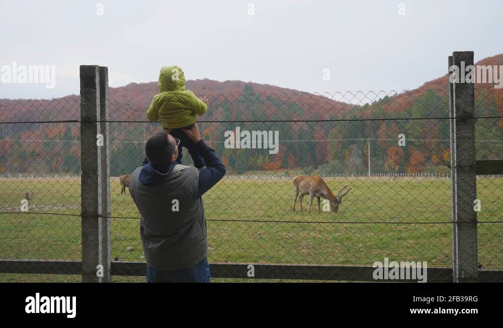 Family holding animals zoo Stock Videos & Footage - HD and 4K Video ...