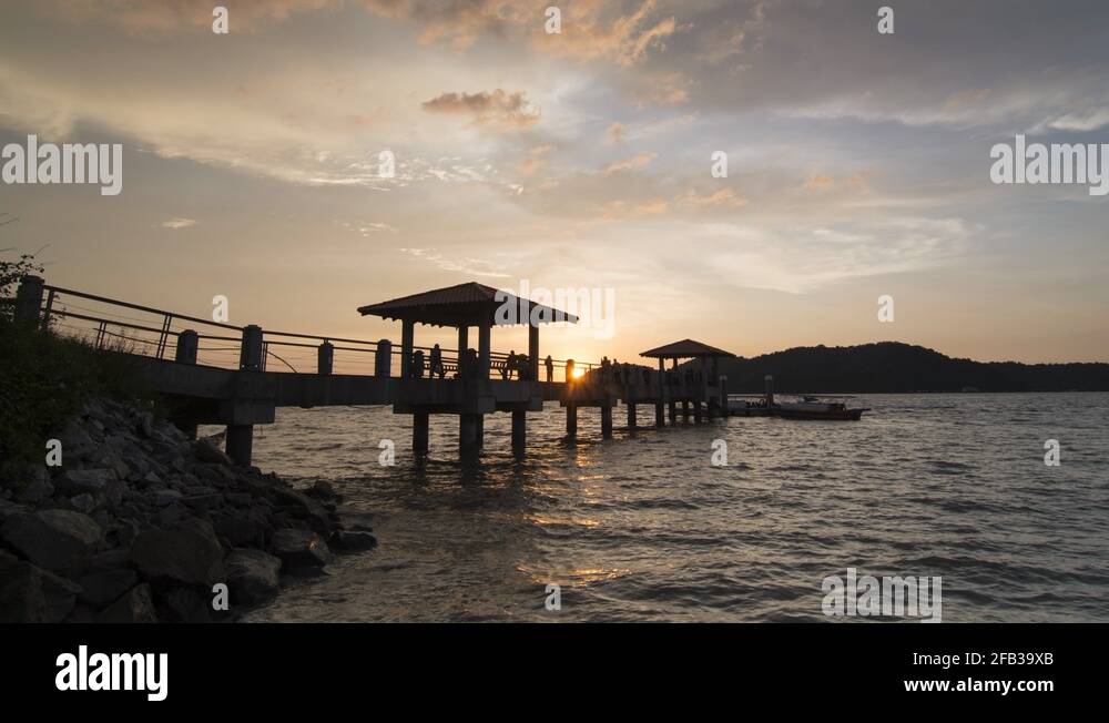 Gua musang Stock Videos & Footage - HD and 4K Video Clips - Alamy