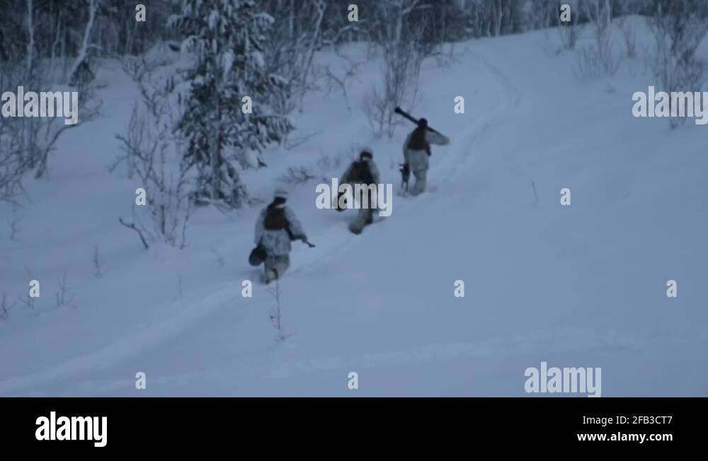 Army soldiers walk in Stock Videos & Footage - HD and 4K Video Clips ...