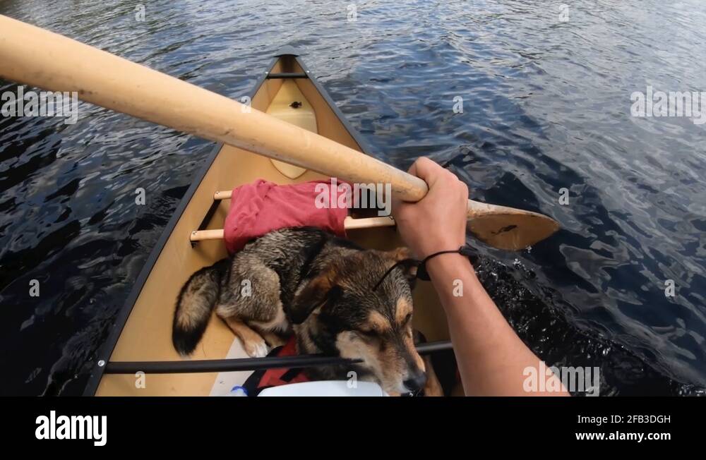 Canoe kayak canada Stock Videos & Footage - HD and 4K Video Clips - Alamy