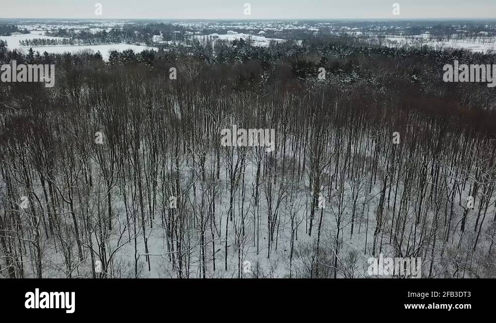 Ariel trees Stock Videos & Footage - HD and 4K Video Clips - Alamy