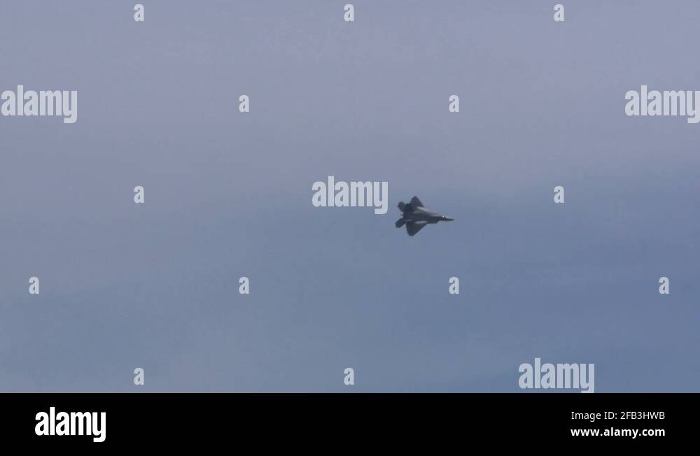 Flying raptor Stock Videos & Footage - HD and 4K Video Clips - Alamy