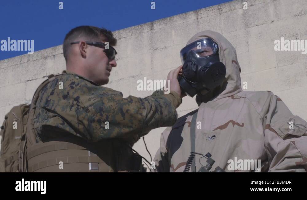 8th engineer battalion Stock Videos & Footage - HD and 4K Video Clips ...