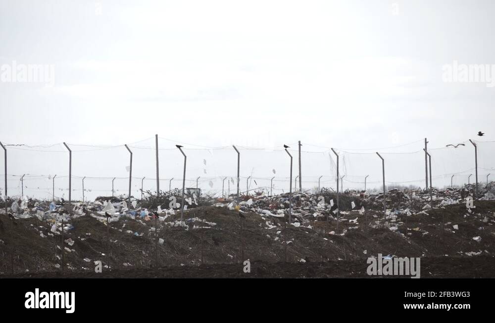 The waste area attracts birds. Environmental pollution. Low social ...