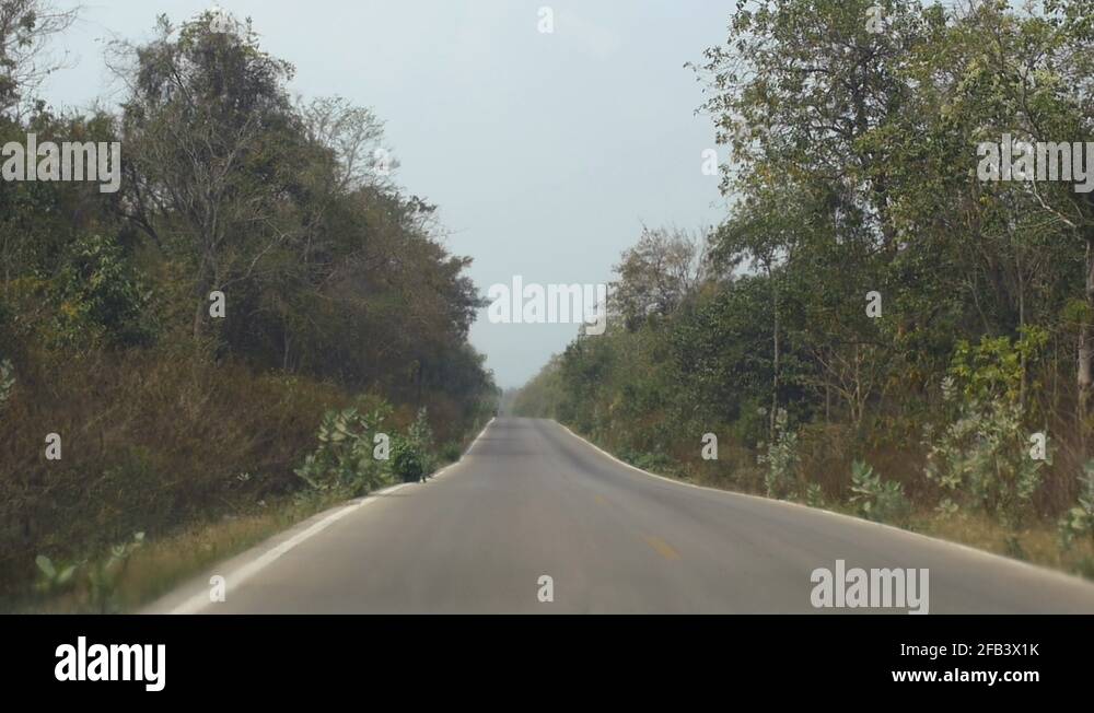 Road side landscape Stock Videos & Footage - HD and 4K Video Clips - Alamy