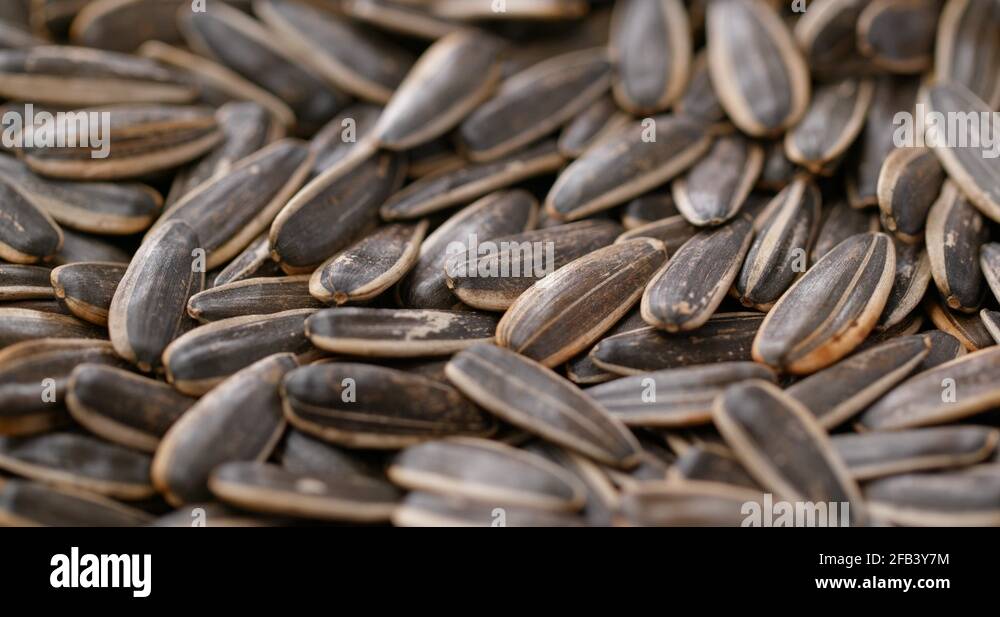 Sunflower seed in rotation Stock Video Footage - Alamy