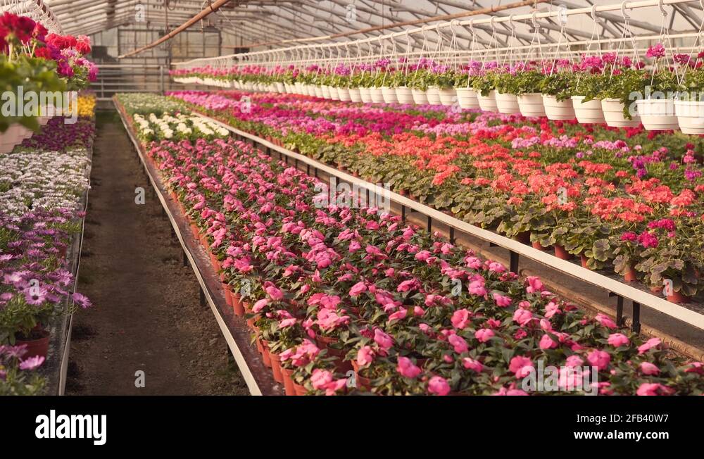 Different types of cultivation Stock Videos & Footage - HD and 4K Video ...