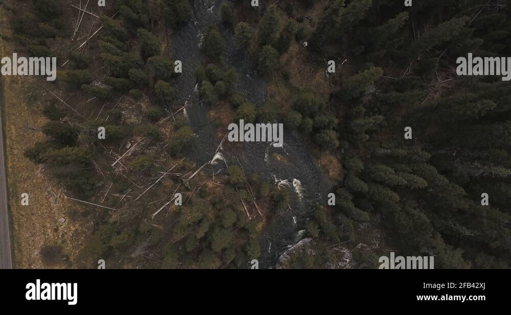 Mystery swamp rock West Creek Ranch forest woods of Bozeman Montana ...