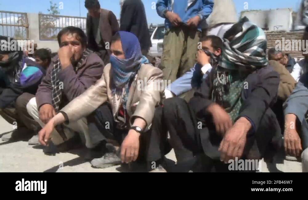 Drug trafficking organization Stock Videos & Footage - HD and 4K Video ...