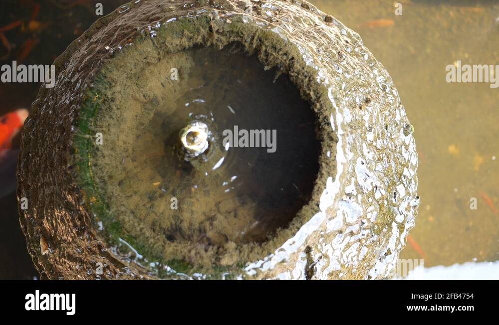Clay pond Stock Videos & Footage - HD and 4K Video Clips - Alamy