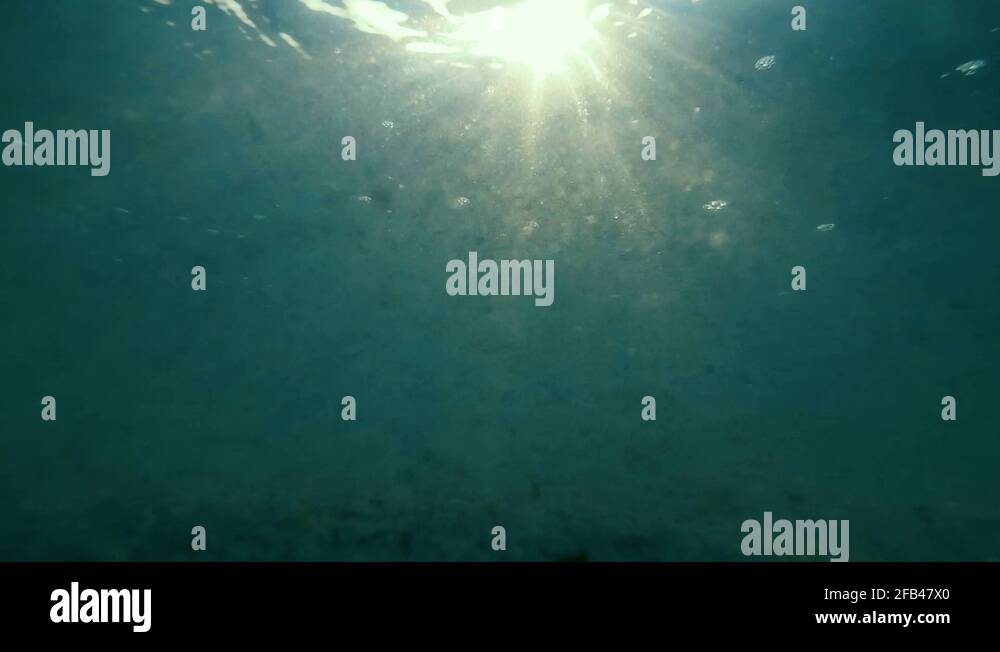Underwater sun rays Stock Videos & Footage - HD and 4K Video Clips - Alamy