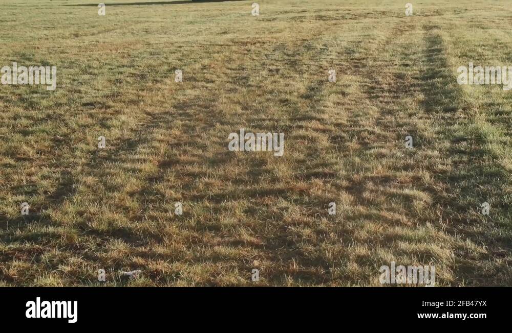 Scene of US Army Chinook in sunny Rena airfield - 2018 Stock Video ...