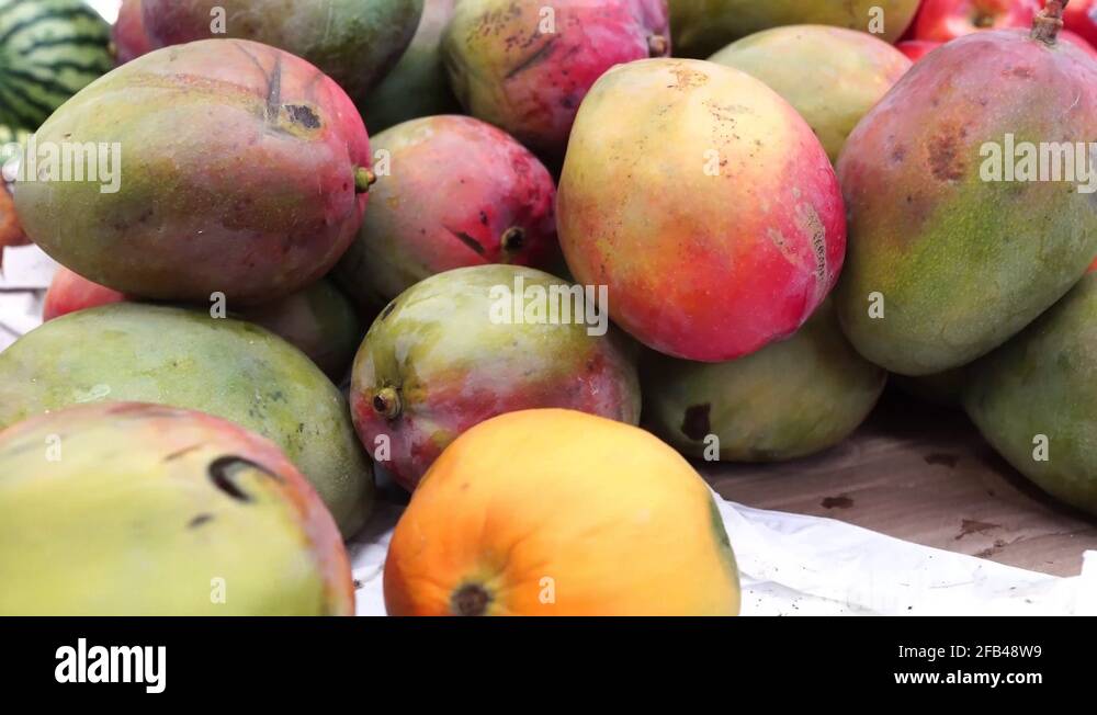 Season mangoes Stock Videos & Footage - HD and 4K Video Clips - Alamy
