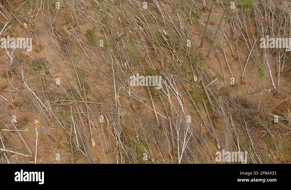 Tornado destruction path Stock Videos & Footage - HD and 4K Video Clips ...