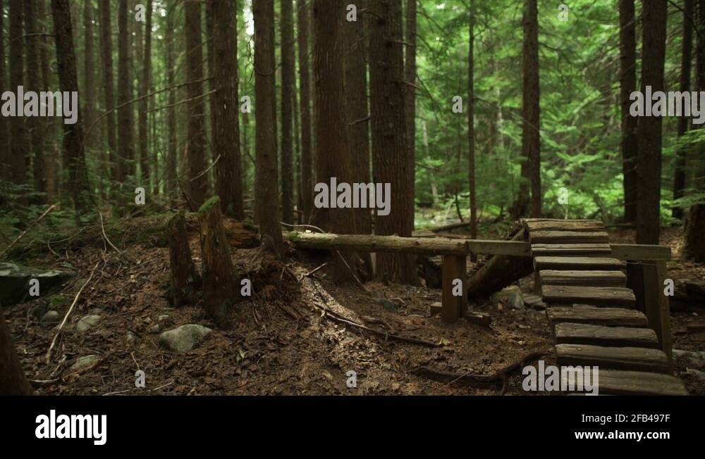 Ladder path Stock Videos & Footage - HD and 4K Video Clips - Alamy