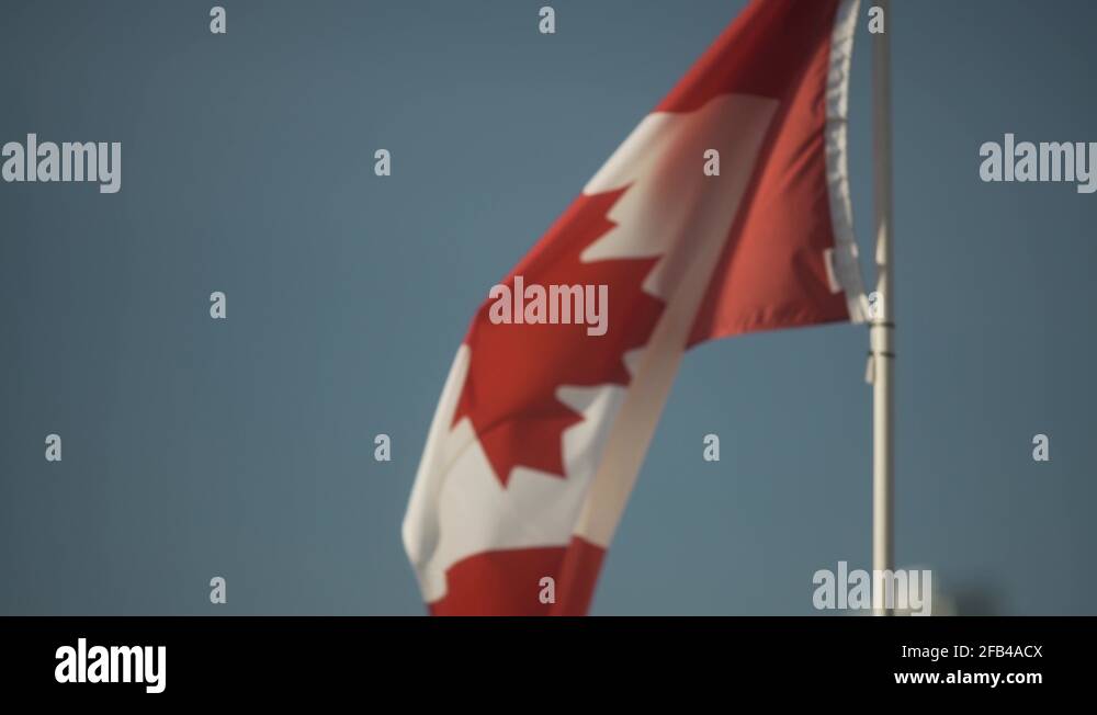 Canadian maple leaf flag flies Stock Videos & Footage - HD and 4K Video Clips - Alamy