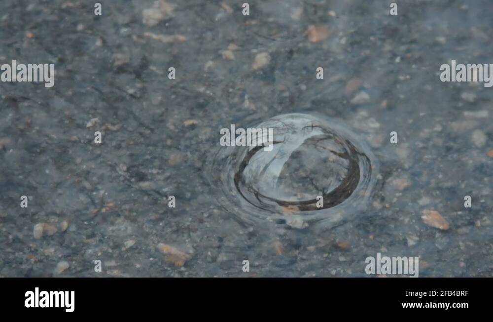 Floating in water puddle Stock Videos & Footage - HD and 4K Video Clips ...