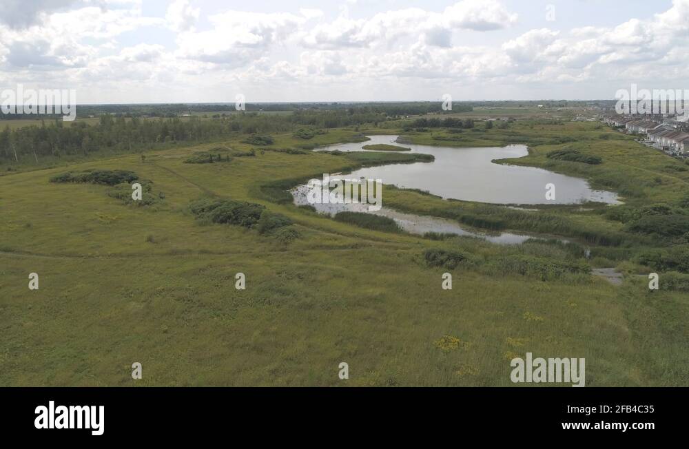 Park trail system Stock Videos & Footage - HD and 4K Video Clips - Alamy