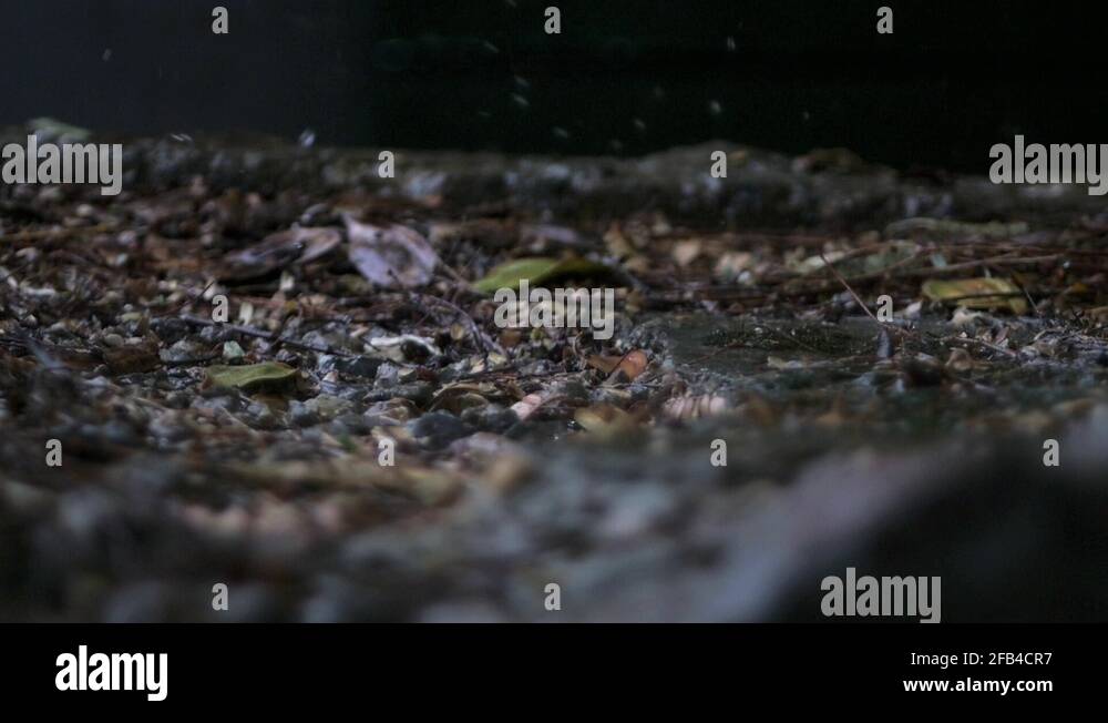 Ground water table Stock Videos & Footage - HD and 4K Video Clips - Alamy
