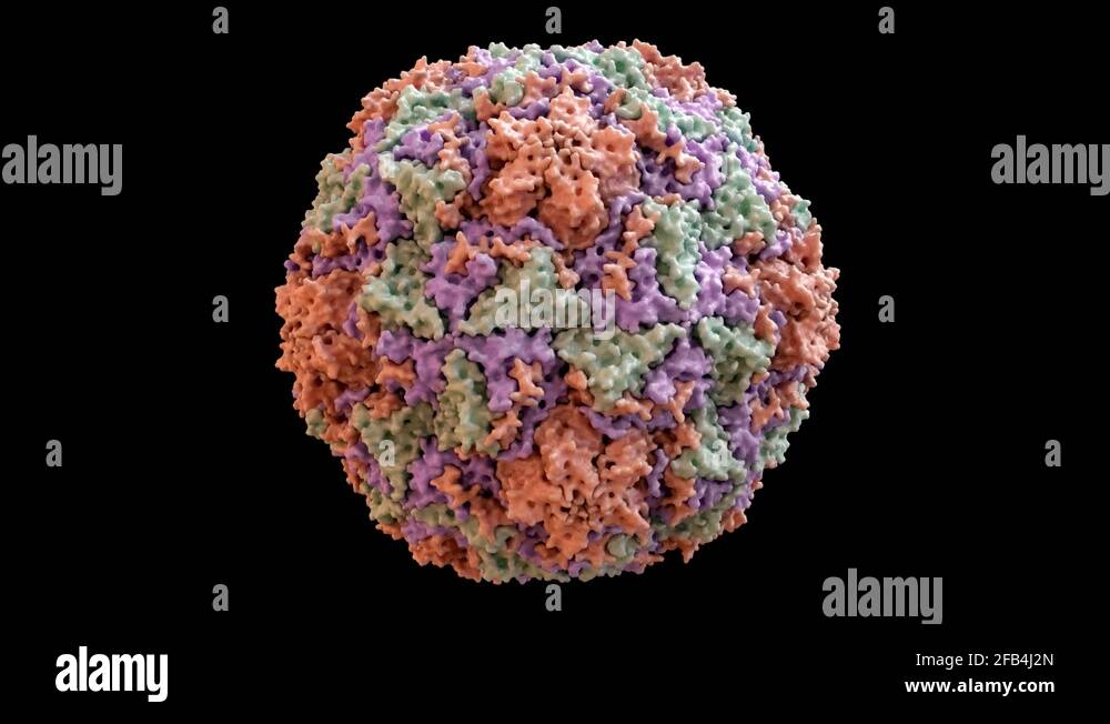 Common structure Stock Videos & Footage - HD and 4K Video Clips - Alamy