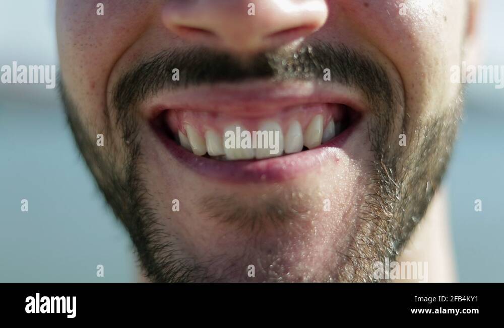 Adult male toothy smile Stock Videos & Footage - HD and 4K Video Clips ...