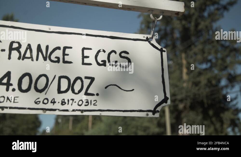 Range egg Stock Videos & Footage - HD and 4K Video Clips - Alamy