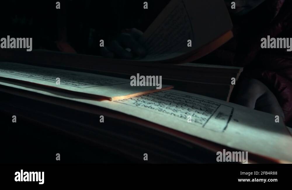 Script preservation Stock Videos & Footage - HD and 4K Video Clips - Alamy