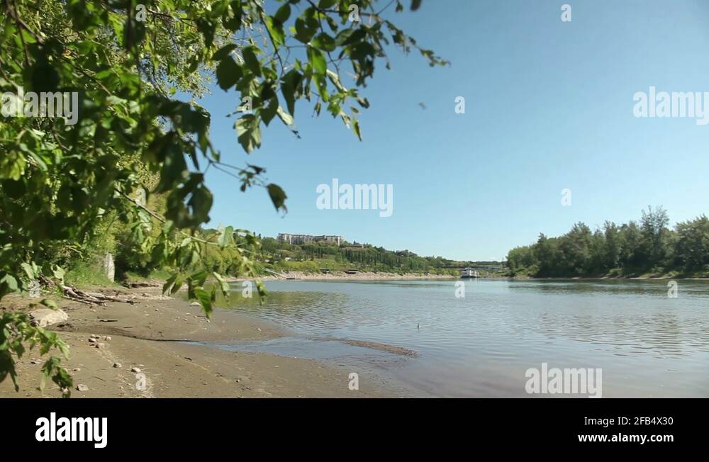 Bob tree Stock Videos & Footage - HD and 4K Video Clips - Alamy
