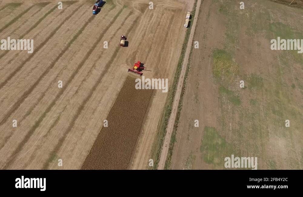 Harvester working in crop field Stock Videos & Footage - HD and 4K ...