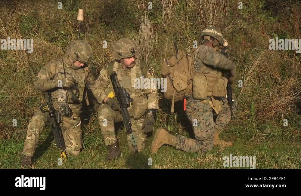 Marines conduct tactical recovery of aircraft and personnel operation ...