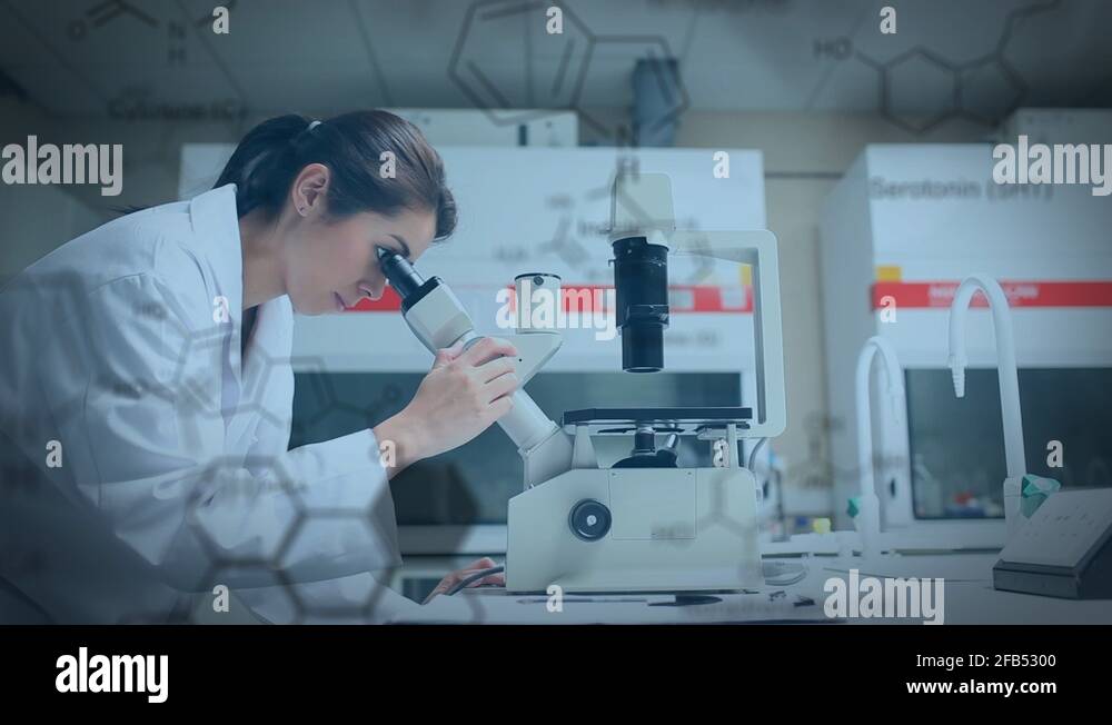 Scientist looking into a microscope inside the lab Stock Video Footage ...