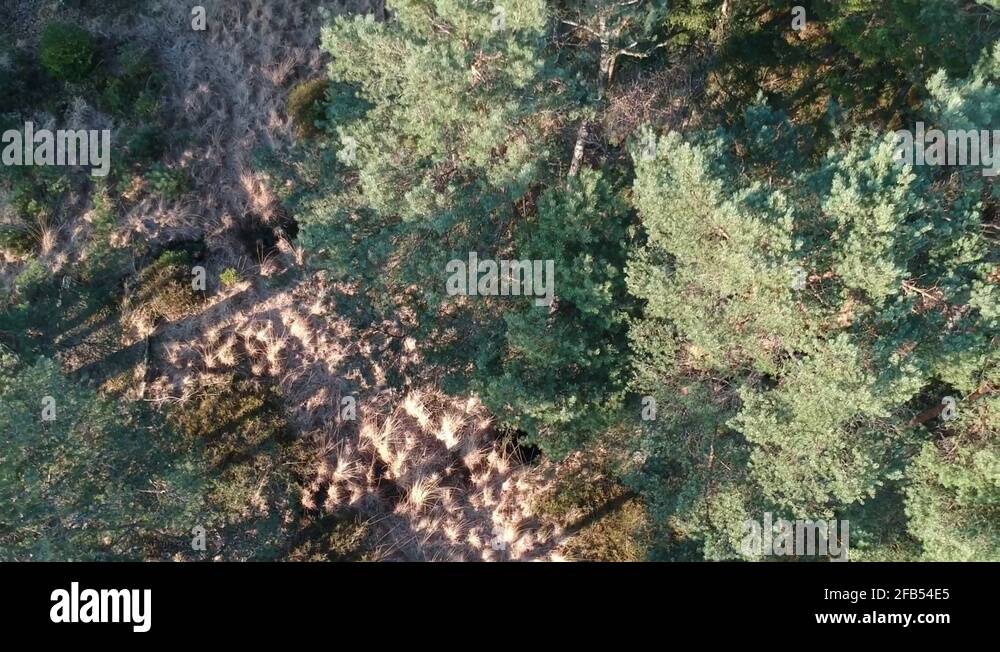 Unedited footage Stock Videos & Footage - HD and 4K Video Clips - Alamy