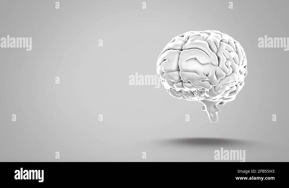 Visual brain Stock Videos & Footage - HD and 4K Video Clips - Alamy