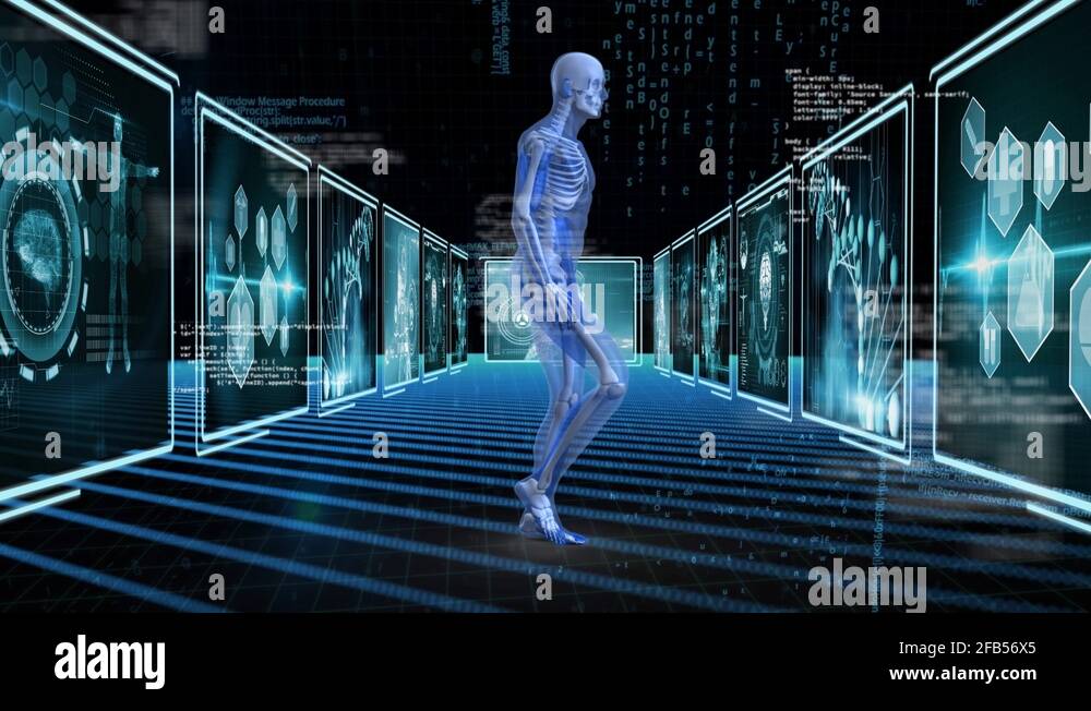 Digital anatomy Stock Videos & Footage - HD and 4K Video Clips - Alamy