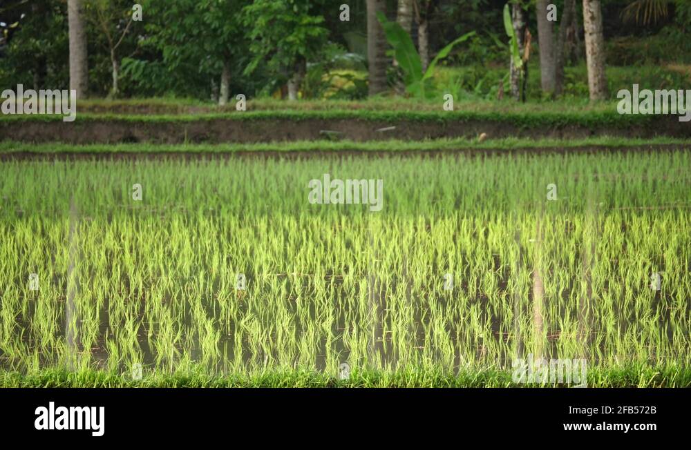 Protruding lines Stock Videos & Footage - HD and 4K Video Clips - Alamy