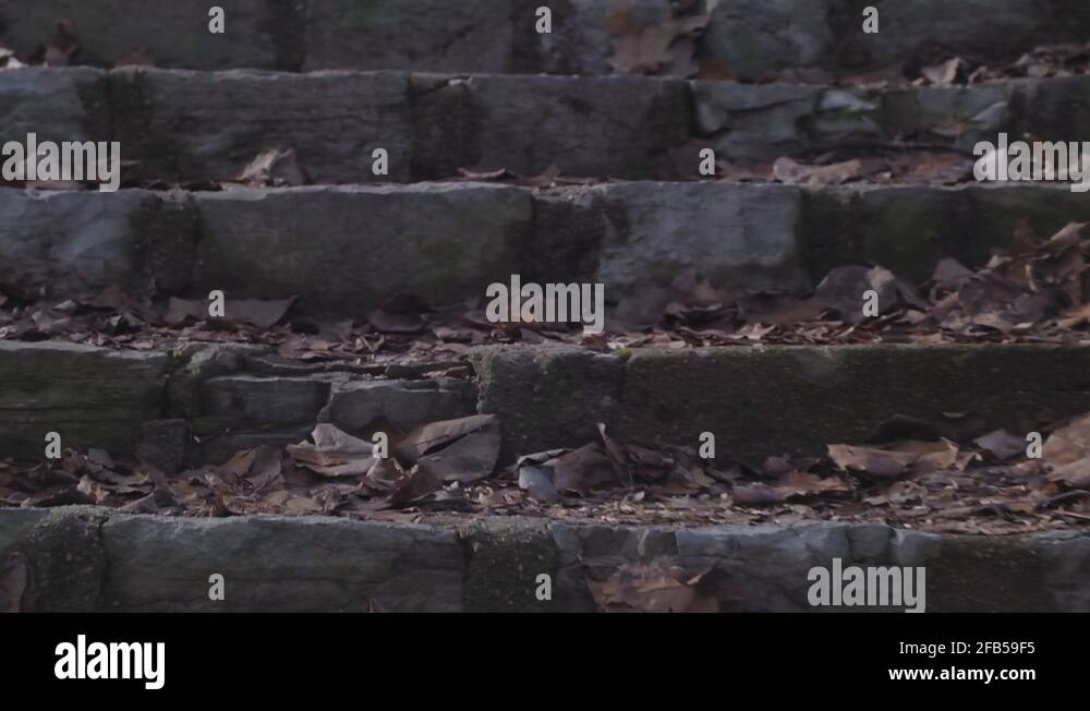 Worn stairs Stock Videos & Footage - HD and 4K Video Clips - Alamy