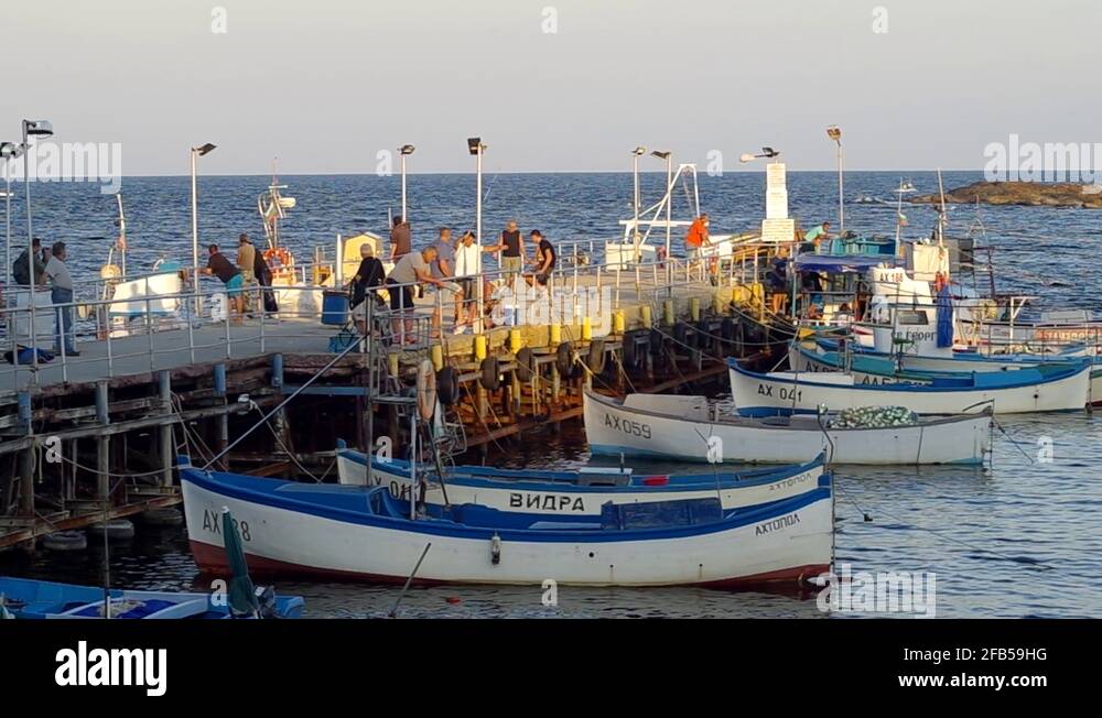 Fished coast Stock Videos & Footage - HD and 4K Video Clips - Alamy