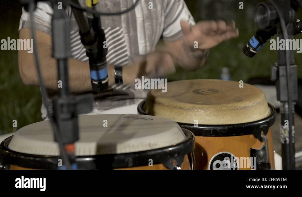 Bongos bongo player Stock Videos & Footage - HD and 4K Video Clips - Alamy
