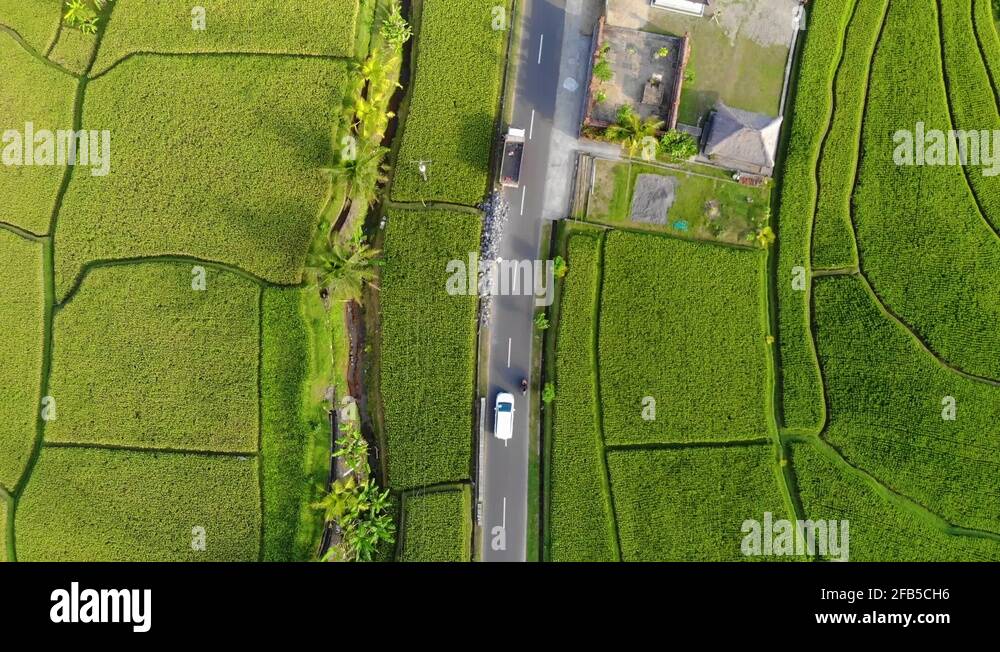 Ubud landscape Stock Videos & Footage - HD and 4K Video Clips - Alamy