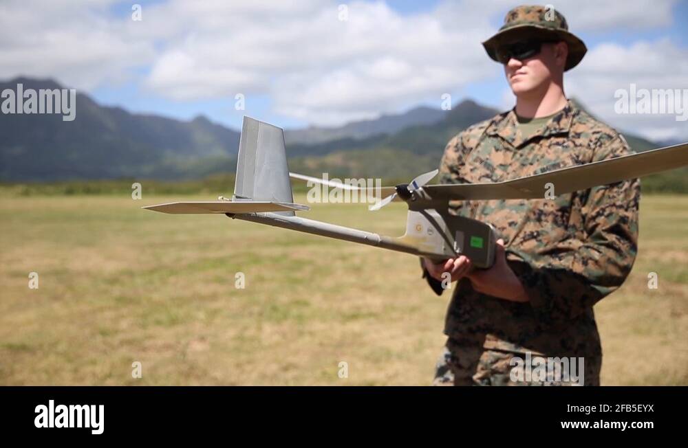 Raven system Stock Videos & Footage - HD and 4K Video Clips - Alamy