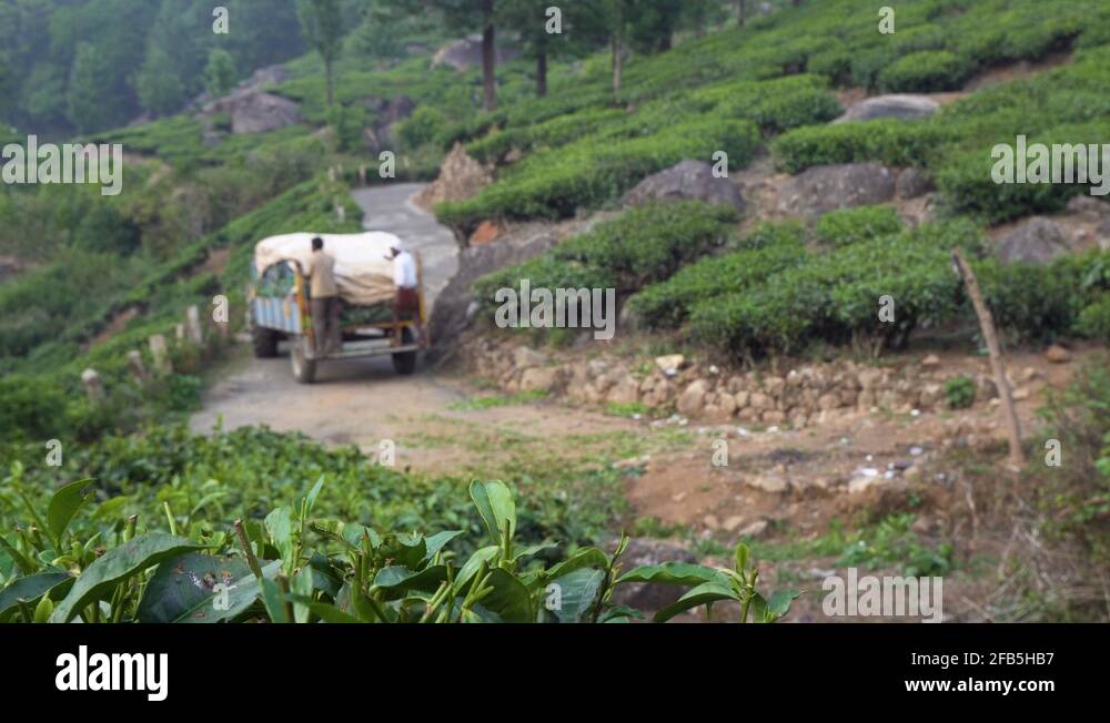 Indian lorry back Stock Videos & Footage - HD and 4K Video Clips - Alamy