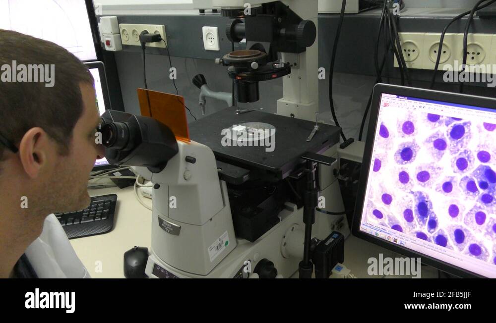 Human heart organ microscope Stock Videos & Footage - HD and 4K Video ...